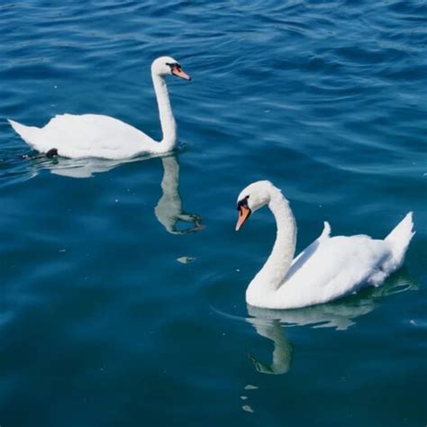 Huan Zheng National University Of Singapore Singapore Nus Department Of Mathematics