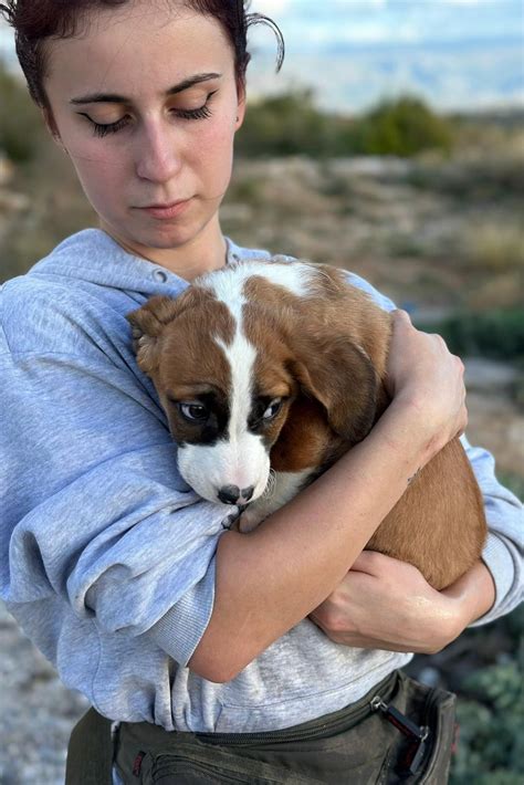 Eddi Streunerglück E V