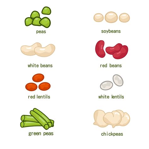A Set Of Legumes Peas Soybeans Beans Lentils Lentils Chickpeas Green