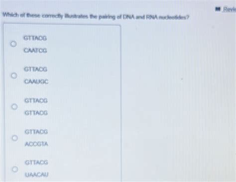 Solved Revie Which Of These Correctly Illustrates The Pairing Of Dna