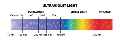 What Is UVA And UVB Light Chiuer Lighting