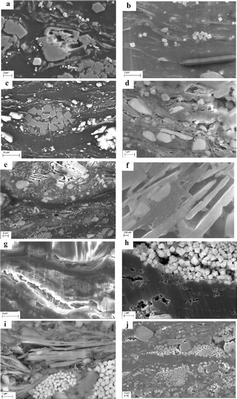 Microscopic Pore Structure Characteristics Of Samples With Different