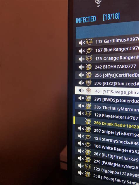 Everyone In My Lobby Is Muted All My Settings Are Correct Because Sometimes When I Get On