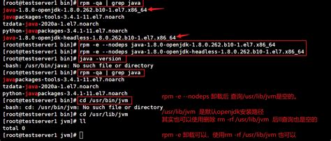 Linux环境卸载Centos 自带的OpenJDK和安装JDK 图文教程 CoderManolin 博客园