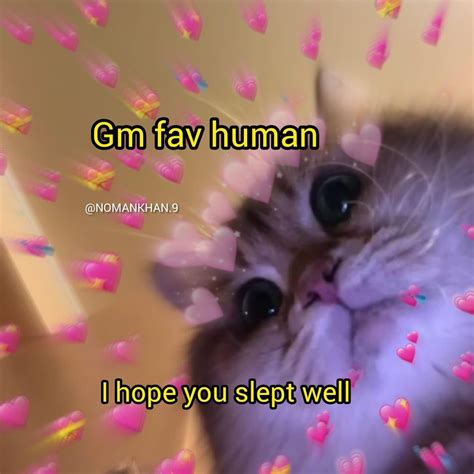 36 Wholesome Supportive Memes To Send To Loved Ones Artofit