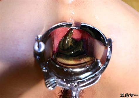 Worms In Pussy 54 Photos Porn Worms In Pussy 54 Photos Porn