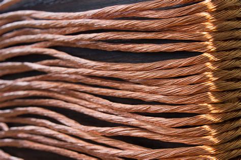 장식 부활절 봄 휴가 녹색 분기 행복 꽃 꽃 축 하 꽃 카드 배경 화려한 인사 장식 상징 백색 전통적인 닭고기 디자인 노랑 귀여운 종교 새 소박한 기독교 4 월 Vint