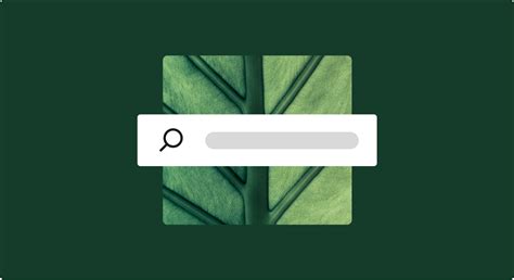 learn woocommerce woocommerce