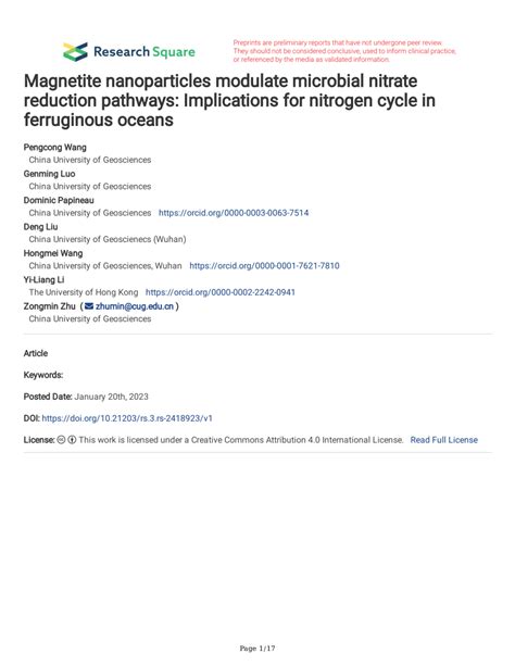 Pdf Magnetite Nanoparticles Modulate Microbial Nitrate Reduction Pathways Implications For