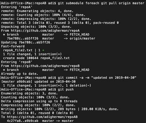 How To Use Git Submodules Neuroconductor