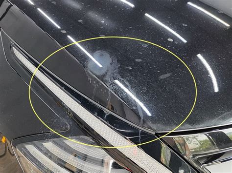 석회물시멘트 물 제거 및 광택 유리막 코팅 보험수리하기 네이버 블로그