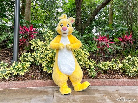 The Rare Disney World Characters Only The Pros Know About Allears Net