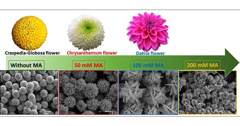 Silveriron Hierarchical Microflowers For Highly Efficient H2o2 Nonenzymatic Amperometric
