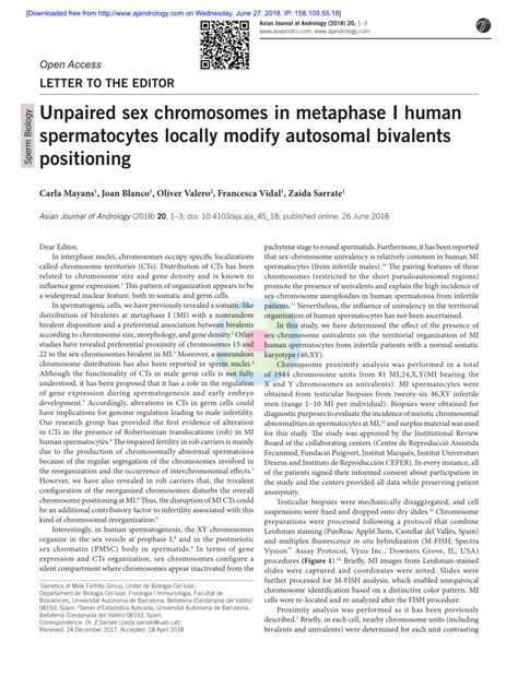 Pdf Unpaired Sex Chromosomes In Metaphase I Human Spermatocytes Locally Modify Autosomal