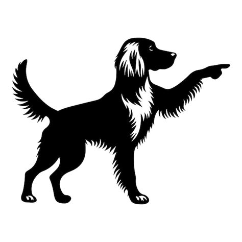 Premium Vector A Springer Spaniel Pointing To A Bird Vector