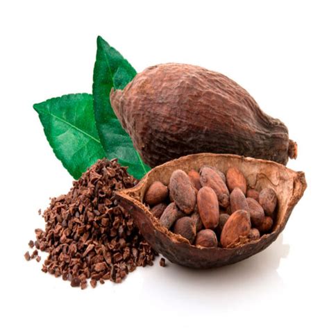 Where To Buy Bulk Cacao Beans And Nibs From Madagascar