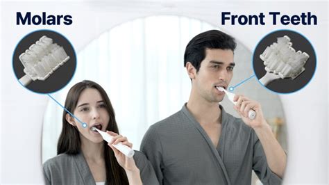 Easy And Effective Brushing From Front Teeth To Molars Backercrew