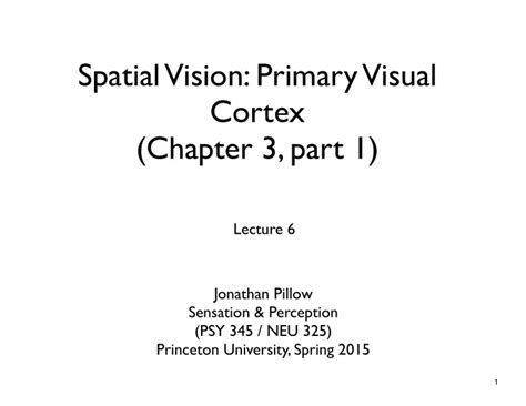 [ppt] spatial vision primary visual cortex chapter 3 part 1 powerpoint presentation 674633