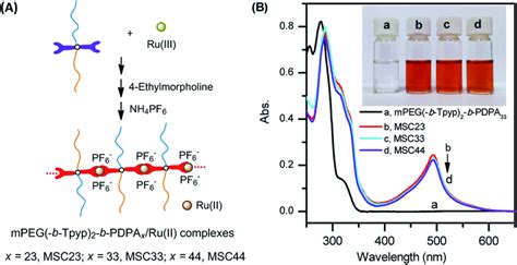 Preparation Route To The Metallo Supramolecular Complexes A And The Download Scientific
