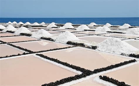 Coarse Salt Vs Sea Salt Guide For New York Chefs