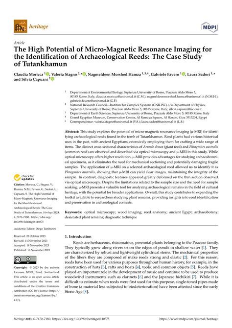 Pdf The High Potential Of Micro Magnetic Resonance Imaging For The Identification Of