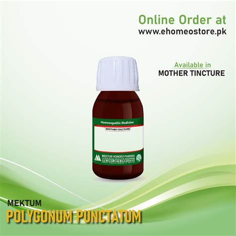 Polygonum Punctatum Ehomeo Store