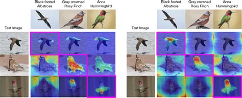 Figure 18 From A Simple Interpretable Transformer For Fine Grained