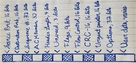 1 3 3 Transport And Network Layer Protocols Flashcards Quizlet