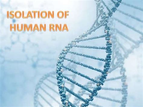 Rna Isolation Methods Pptx