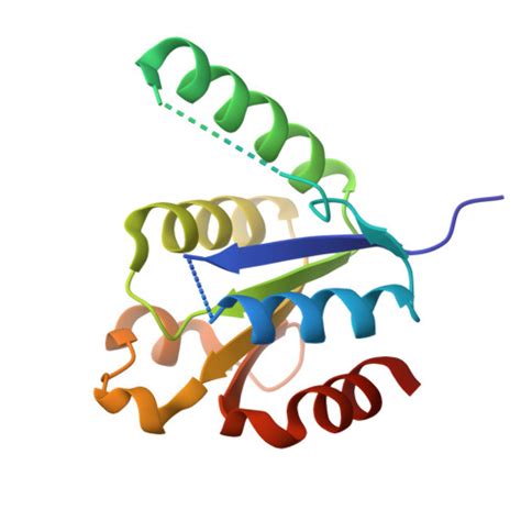 Rcsb Pdb 8os9 Structure Of Homo Sapiens 2 Deoxynucleoside 5 Phosphate N Hydrolase 1 Dnph1