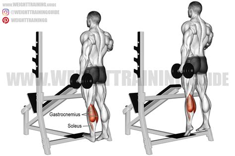 What Are Standing Calf Raises