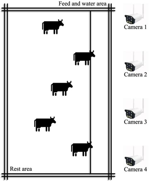 Recognising Cattle Behaviour With Deep Residual Bidirectional Lstm