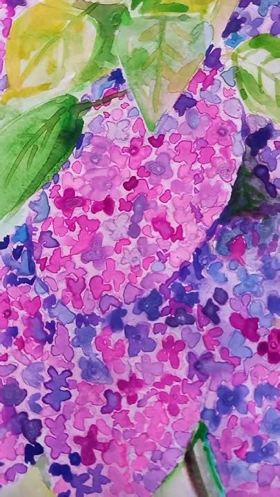 იასამნები 3 ნახატი დავხატე სხვადასხვანაირი ხასიათია ამ საოცარი