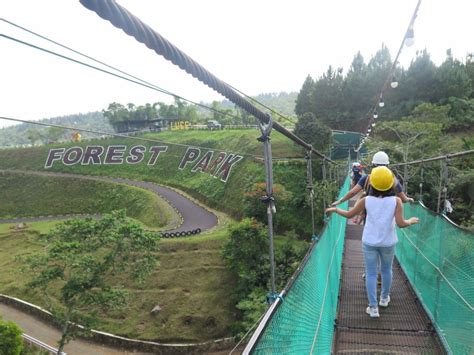 Dahilayan Forest Park Artofit
