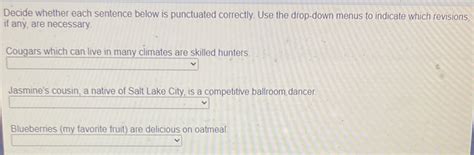 Decide Whether Sentence Punctuated Correctly Use Drop Down Menus To