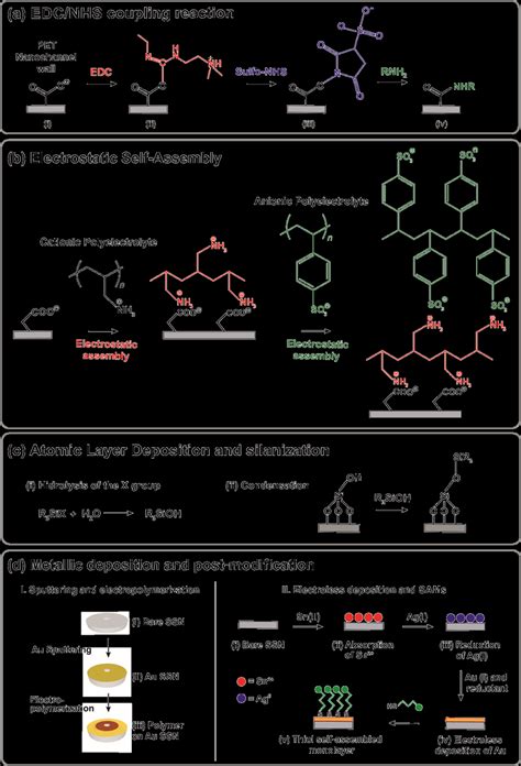 Illustrative Scheme Of The Different Types Of Functionalization