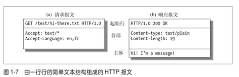 备忘录 晒太阳的猫