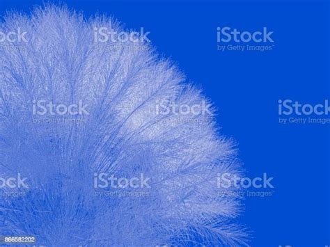 흰색 배경에 고립 된 녹색 가장자리와 개요 검은 나무의 3d 렌더링 0명에 대한 스톡 사진 및 기타 이미지 0명 계절