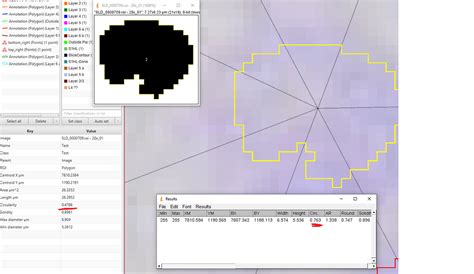 Qupath Circulairty Mismatch With Imagej Usage And Issues Imagesc Forum