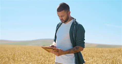 태블릿 농업 및 옥수수 밭에서 농업 친환경적이고 지속 가능한 성장을 확인하는 사람 자연 개발 야외 밀 농장에서 디지털 기술로 검사에 임하는 남성 농부 30 34세에 대한