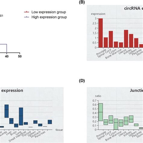 Low Hsa Circ 0072309 Expression Predicts Poor Prognosis For Glioma Download Scientific Diagram