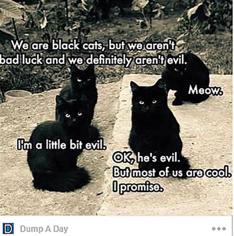 50 Best Friday The 13th Memes Of All Time 2023 Yourtango