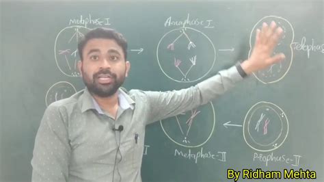 Std Biology Meosis And Meosis YouTube