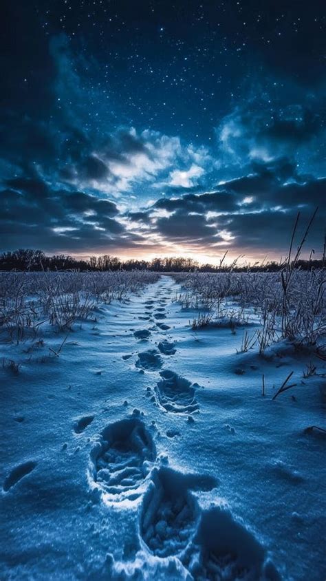 At Night The Gray Blue Sky Features A Bright Moon High Above With