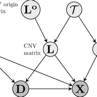 Illustration Of The Parameters Dependency The Dark Grey Nodes In The Download Scientific