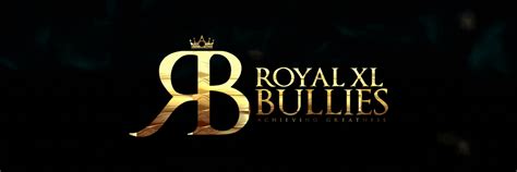 Florida Xl American Bully Breeders Royal Xl Bullies