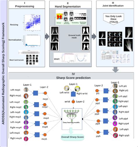Overview Of The Workflow The Automated Radiographic Overall Sharp Download Scientific Diagram