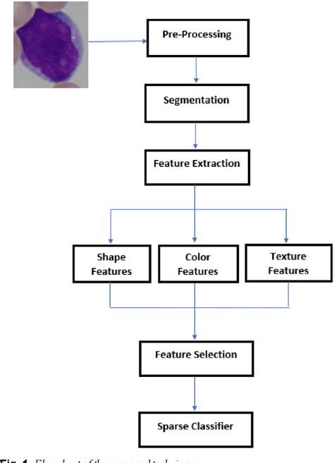 Figure 1 From Automated Acute Lymphoblastic Leukaemia Detection System