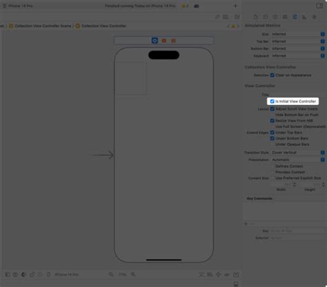 Ios Entry Point Initial View Controller