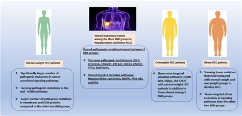 the overview of the shared and specific mutational events in the 3 bmi